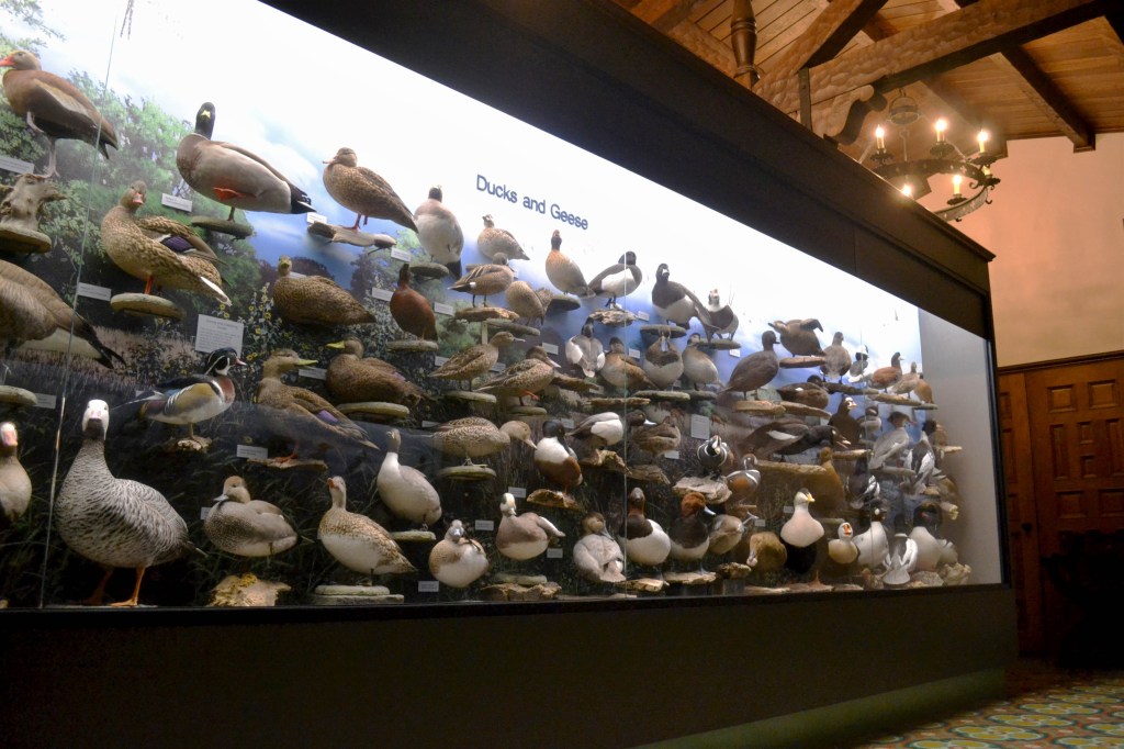 Museum