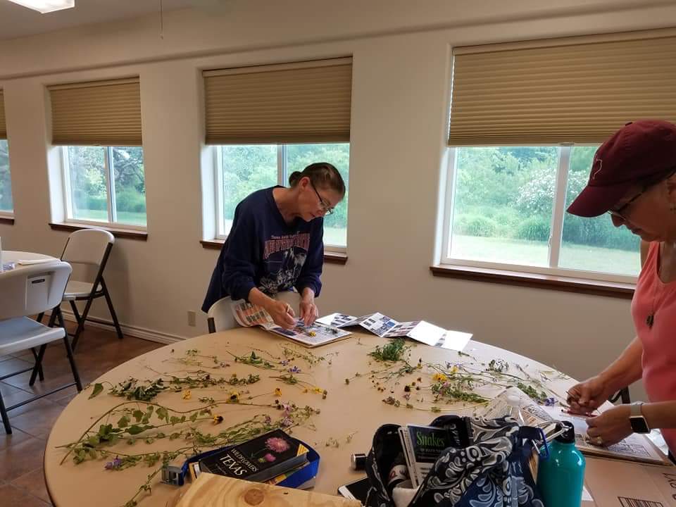 Adult Programs & Training